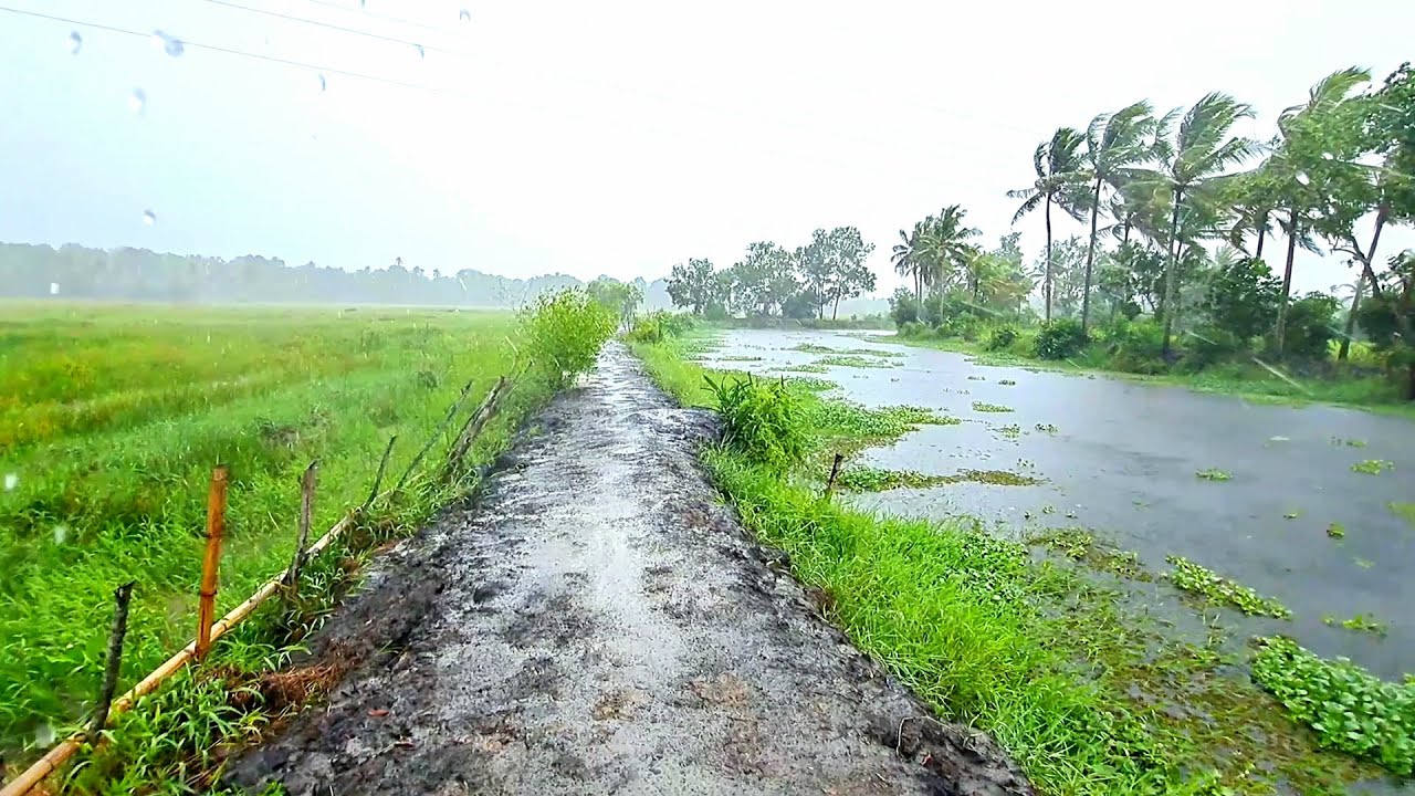 Walking in Heavy Rain along a Beautiful Riverside in a Village in South ...