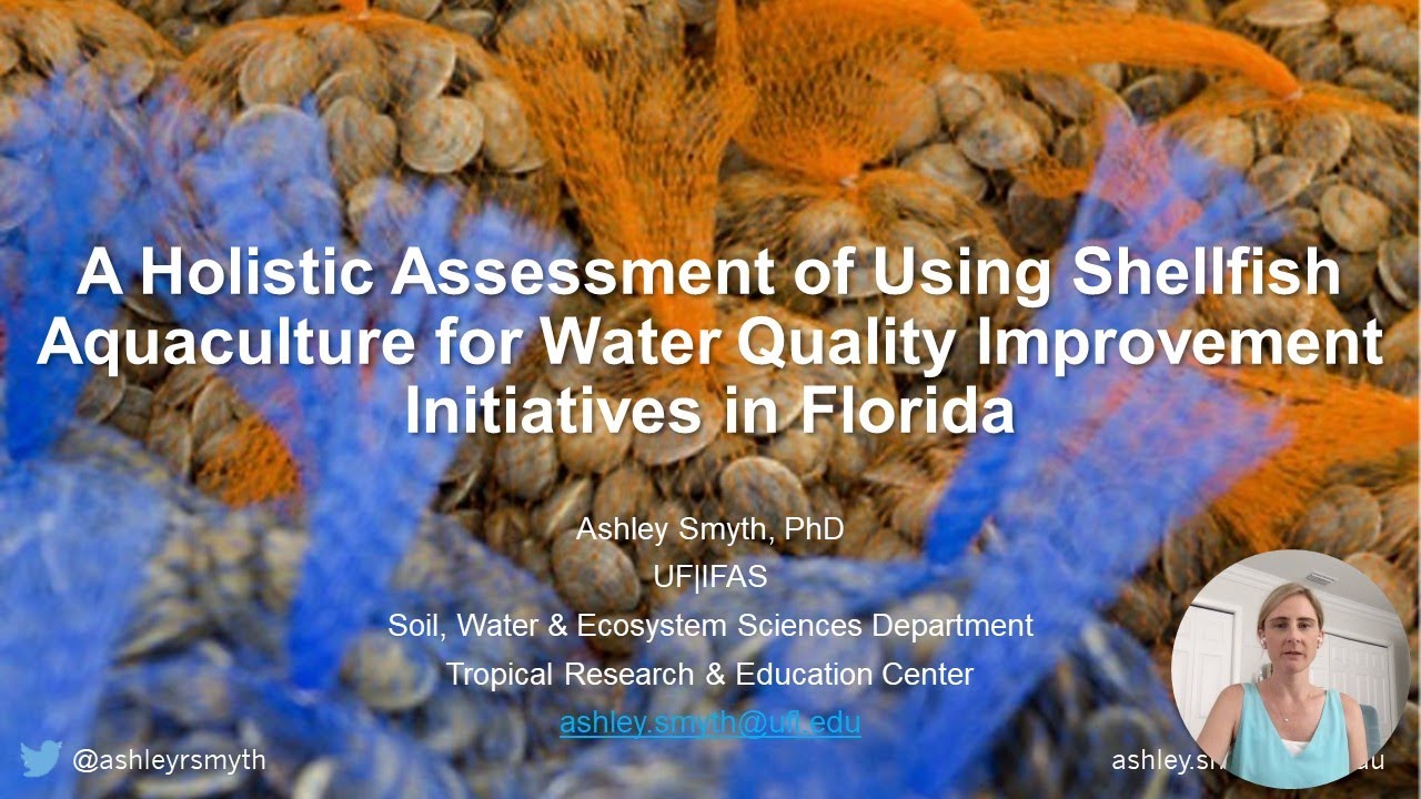 Assessing shellfish aquaculture ecosystem benefits and nutrient trading ...