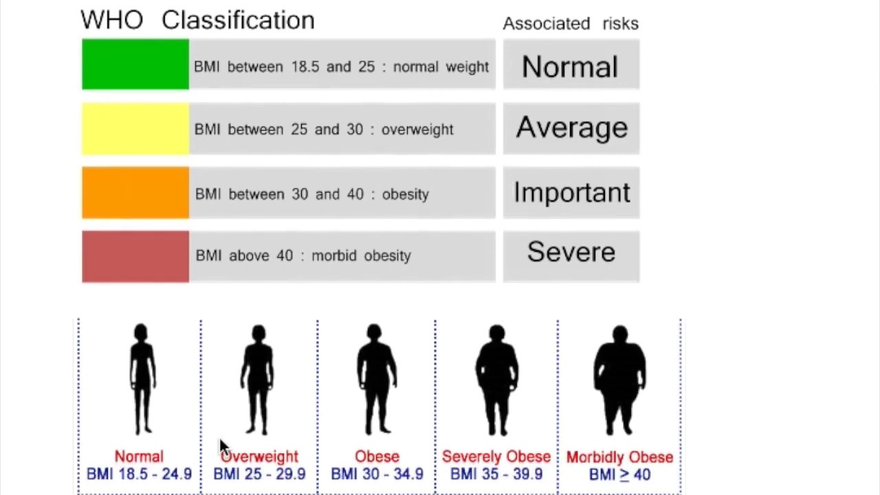 Body Mass Index, Mid upper arm circumference, Abdominal girth - YouTube