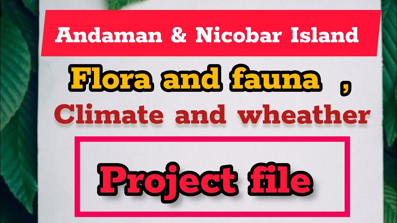Andaman and Nicobar Island project file | flora and fauna |climate & wheather| science project ...