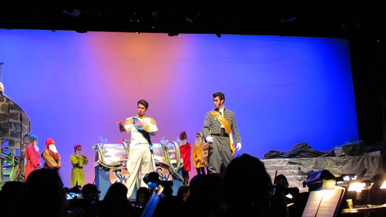 Agony Reprise, Into The Woods, Act 2 - Suffern High School, 2016 - YouTube