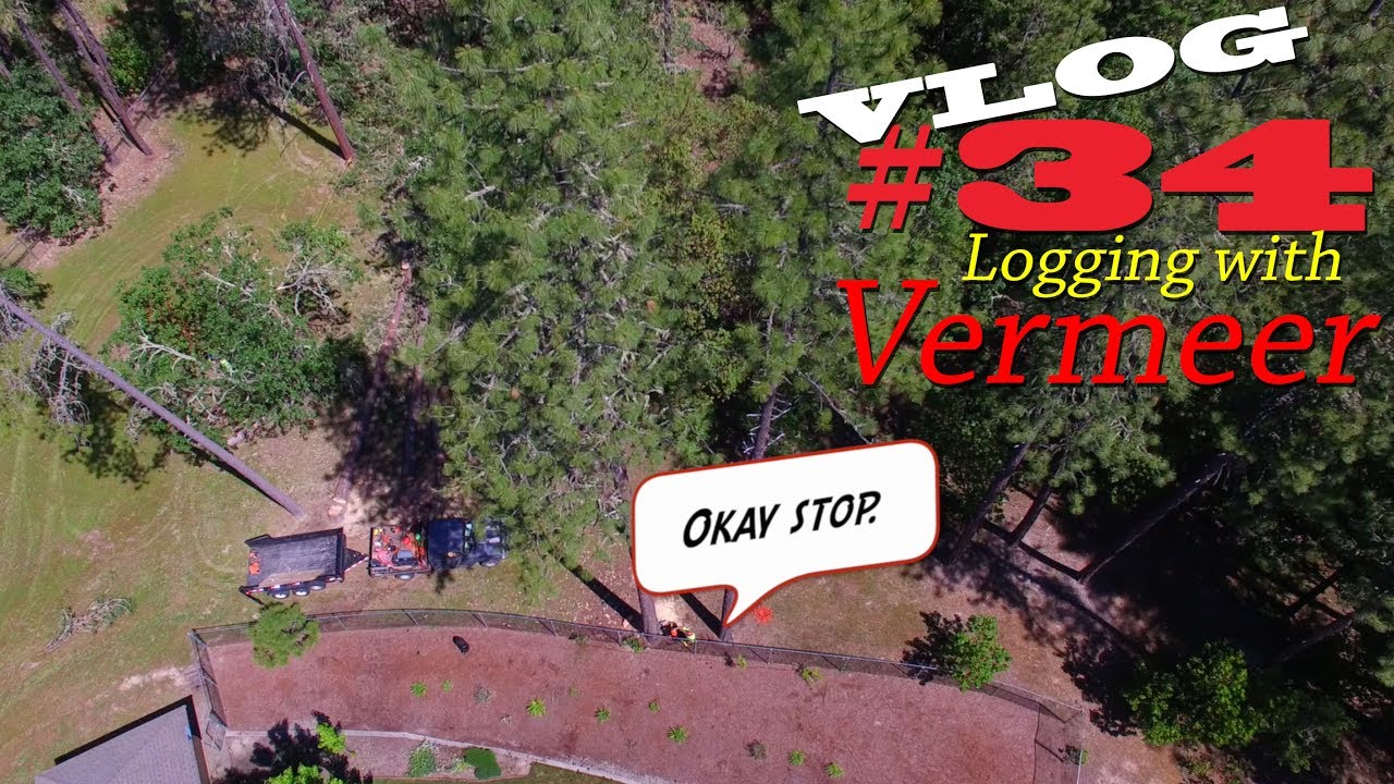 Logging With Vermeer - YouTube