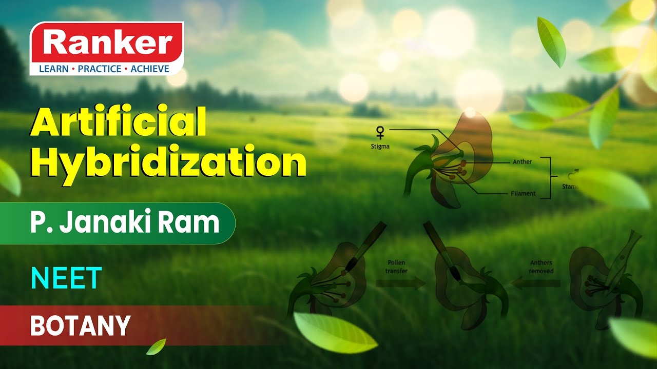 Reproduction in Plants | Pollination | Artificial Hybridization ...