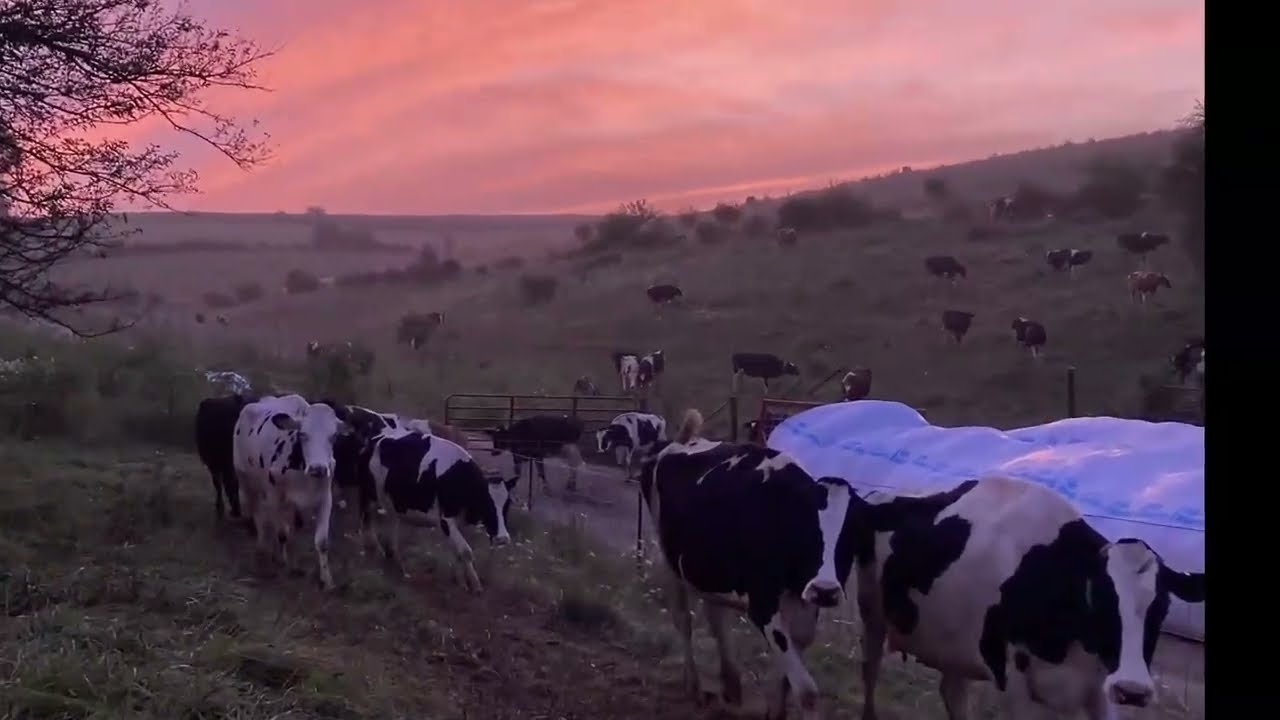 Beautiful Fall Dairy Farm in Wisconsin Photo Slideshow - YouTube