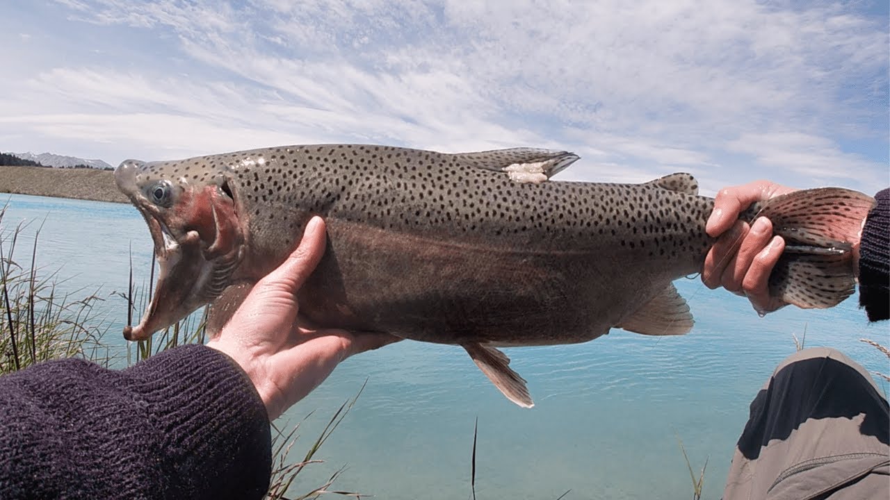 I Caught The UGLIEST Trout Ive EVER Seen! - YouTube