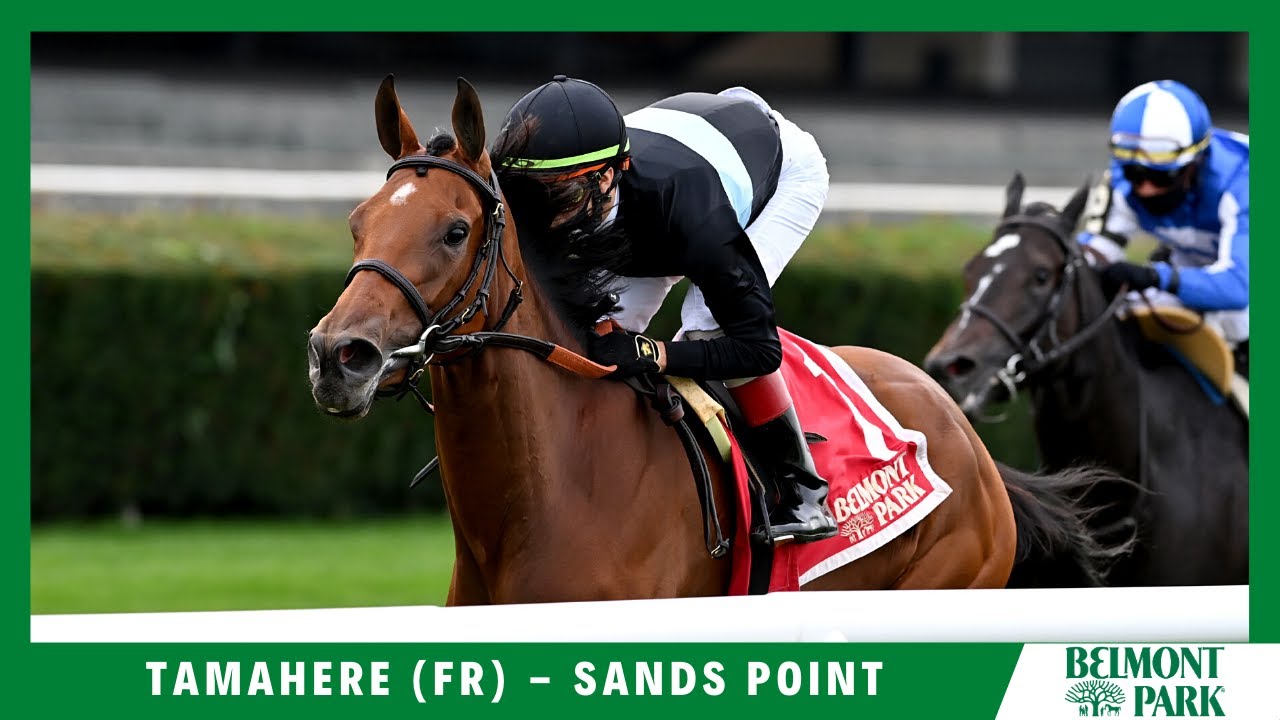 Tamahere - 2020 - The Sands Point - YouTube