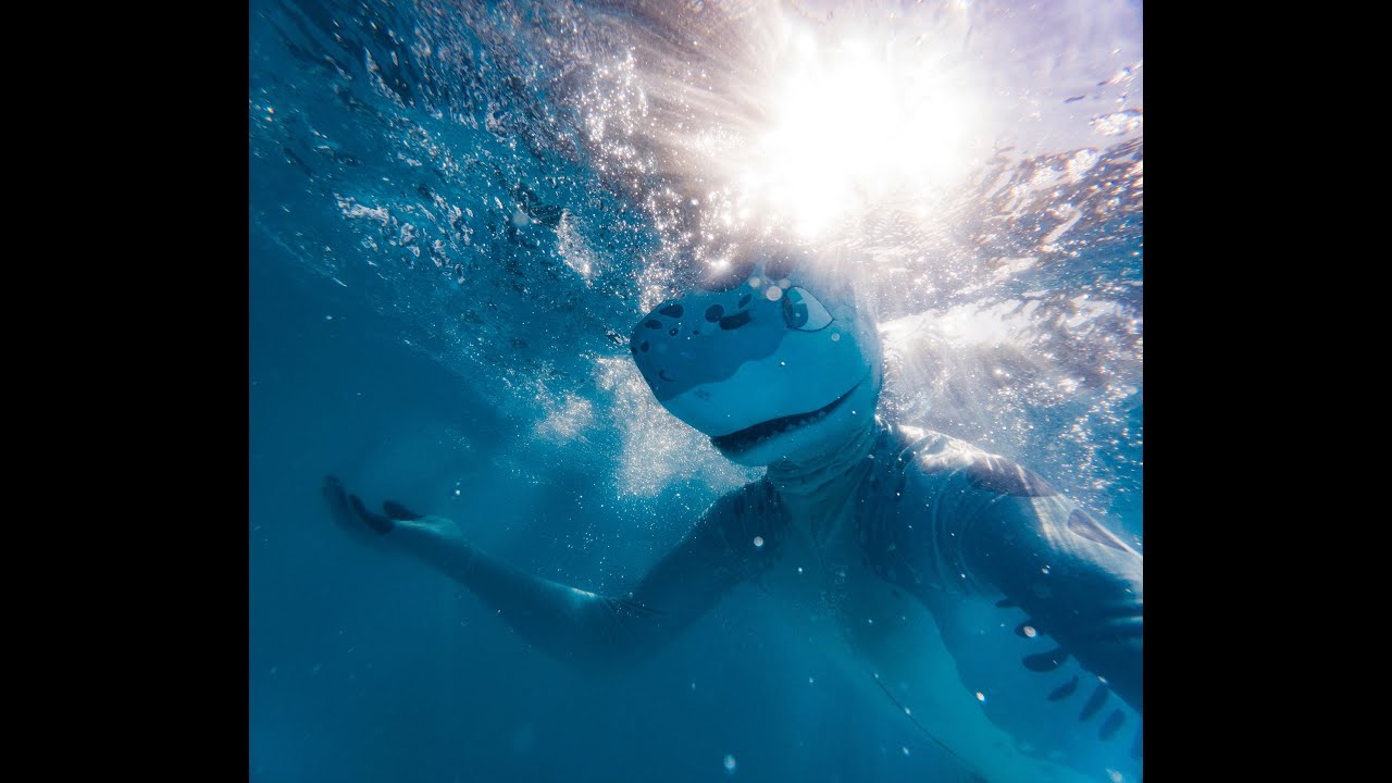 Underwater fursuit - YouTube