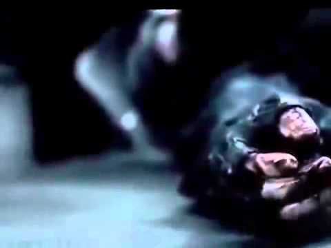 The Assault - Film de l'assaut du GIGN à Marignane