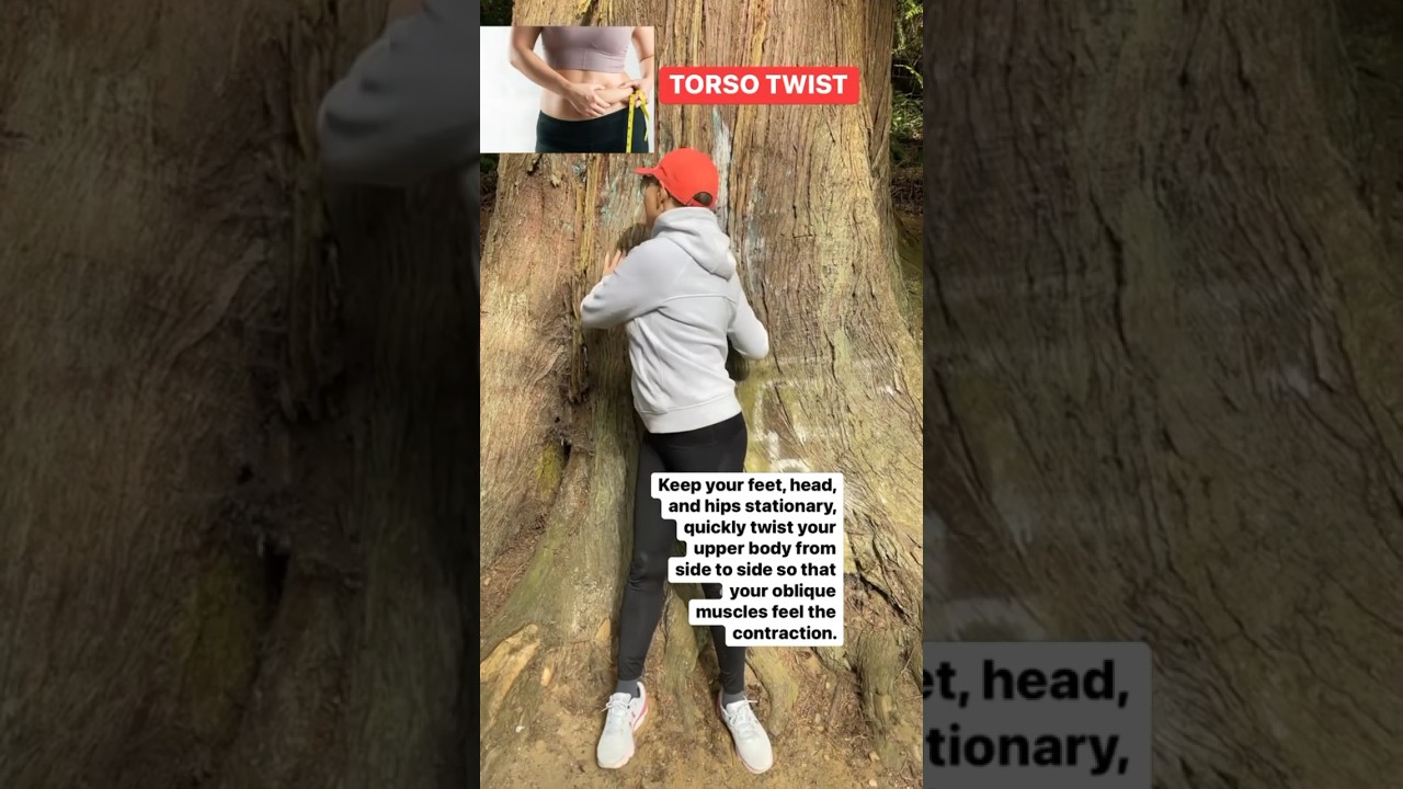 TORSO Abdominal TWIST. Target: Obliques, HIP rotators, lower abs, upper ...