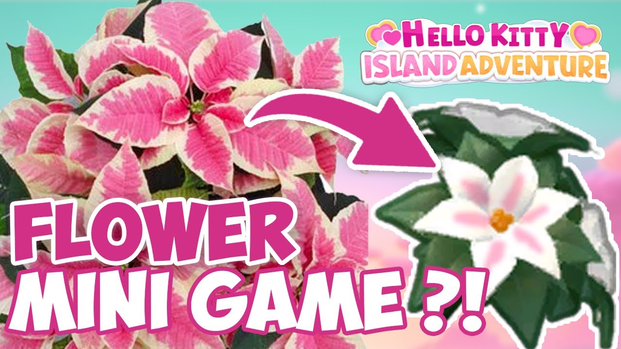 Flower fans unite to unlock black flowers in Hello Kitty Island ...