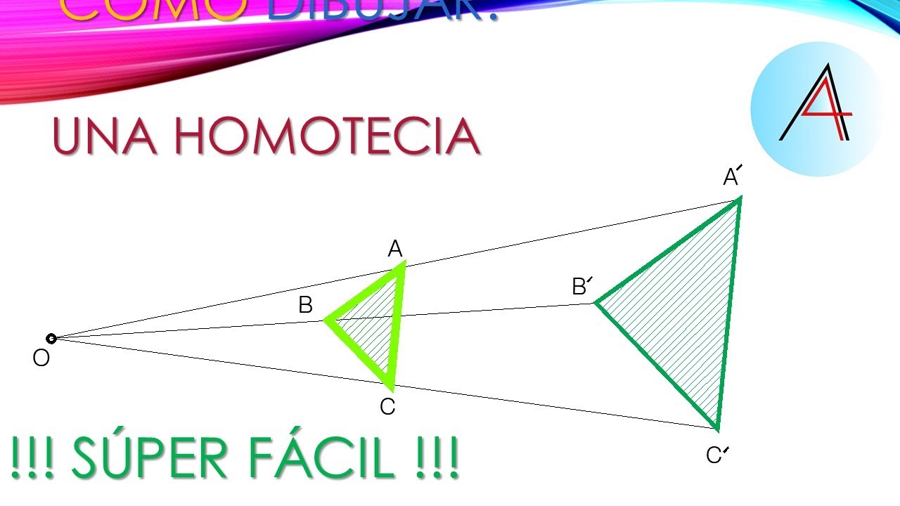 COMO DIBUJAR UNA HOMOTECIA. !!! SÚPER FÁCIL !!!. - YouTube