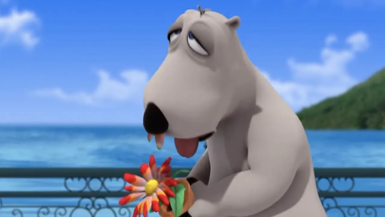 Bernard Bear 🐻‍ ️ | The Flower 🌸 | Funny Animated Cartoon - YouTube