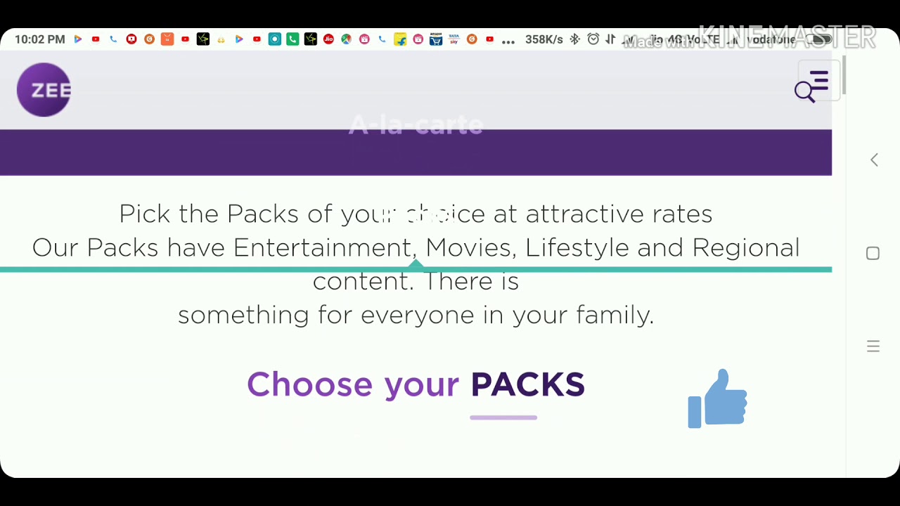Zee Family Pack And All in One pack SD And HD version channel list with ...