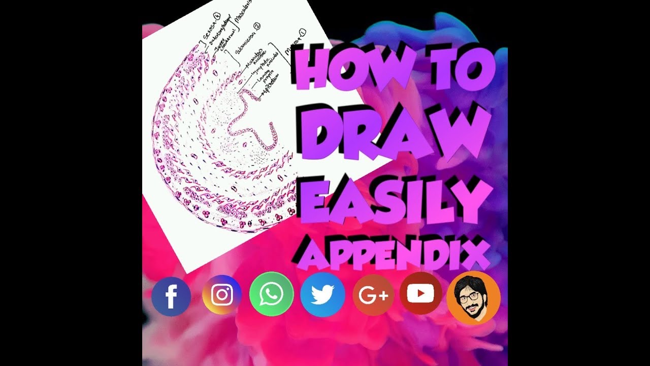 How to Draw Easily Appendix Histology - YouTube