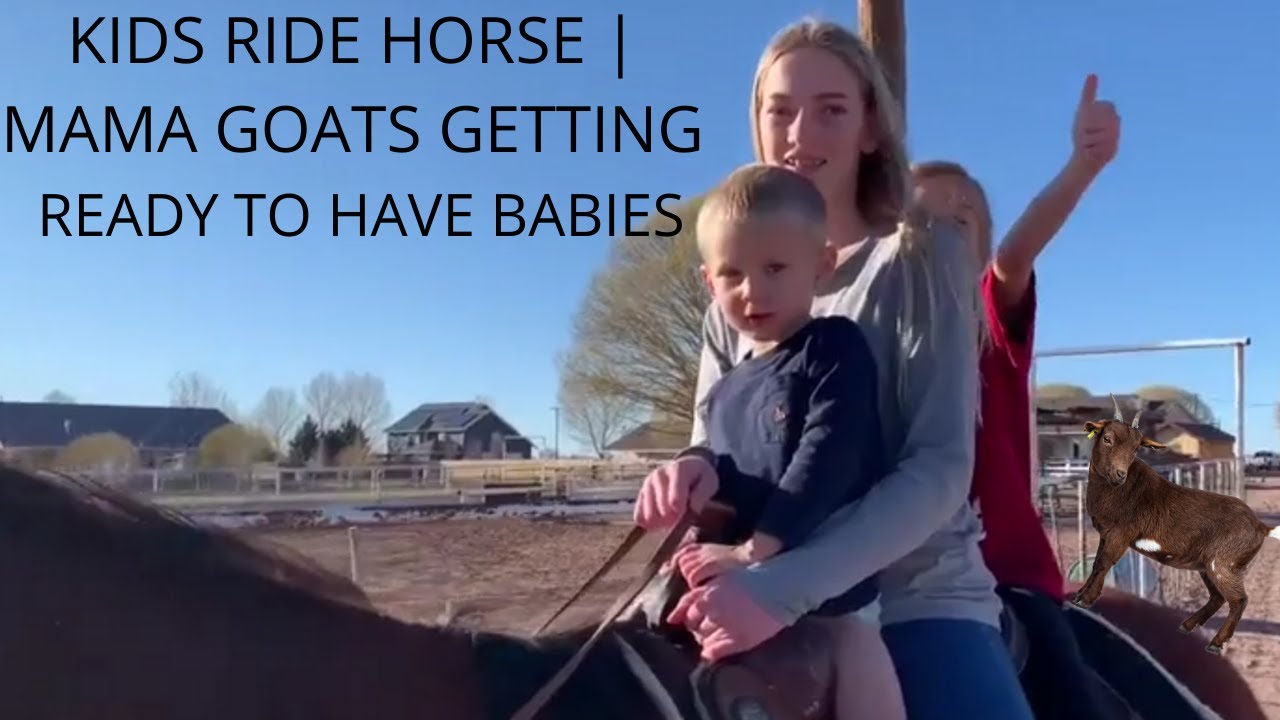 KIDS RIDE HORSE | MAMA GOATS GETTING READY TO HAVE BABIES - YouTube