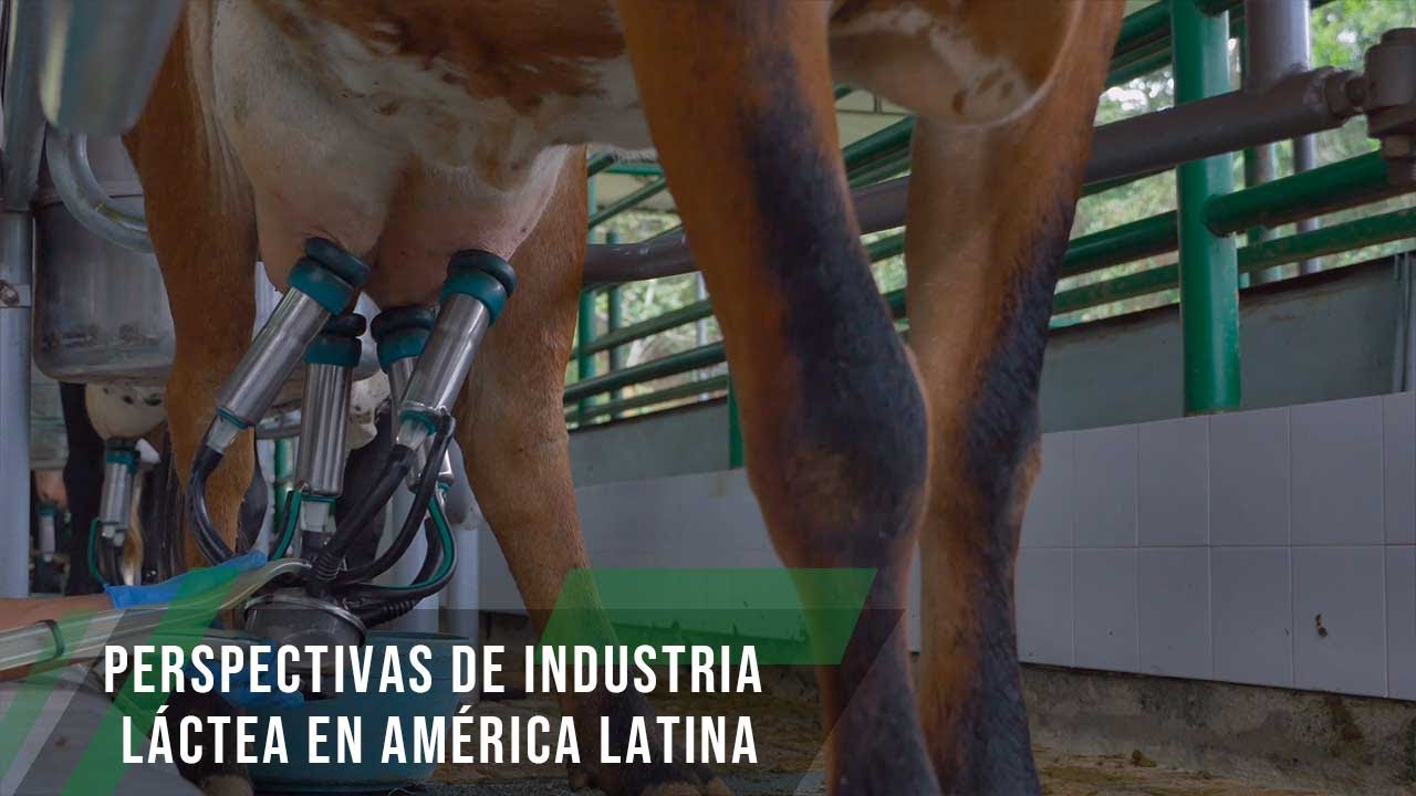 Perspectivas de industria láctea en América Latina - TvAgro por Juan Gonzalo Angel Restrepo ...