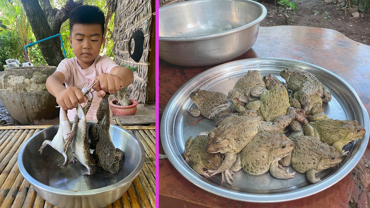 Yummy crispy frog & Fried rice cooking - Chef Seyhak - YouTube