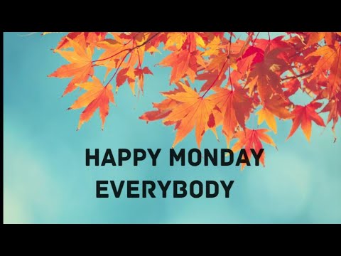 Happy Monday everybody - YouTube