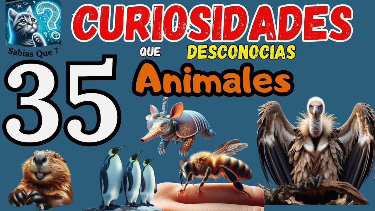 35 Curiosidades de Animales que Desconocias: Datos Sabias que - YouTube