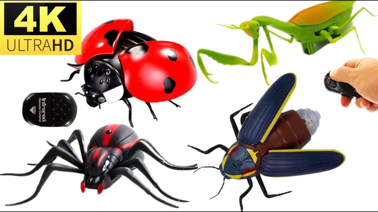 PART 1 | ASMR | UNBOXING ROBOTIC INSECTS | NEW TOY FIREFLY , SPIDER ...