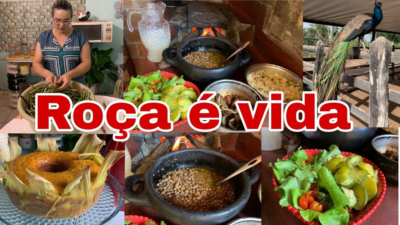 Roça é vida | bolo de milho 🌽 almoço no fogão a lenha | farturas da ...