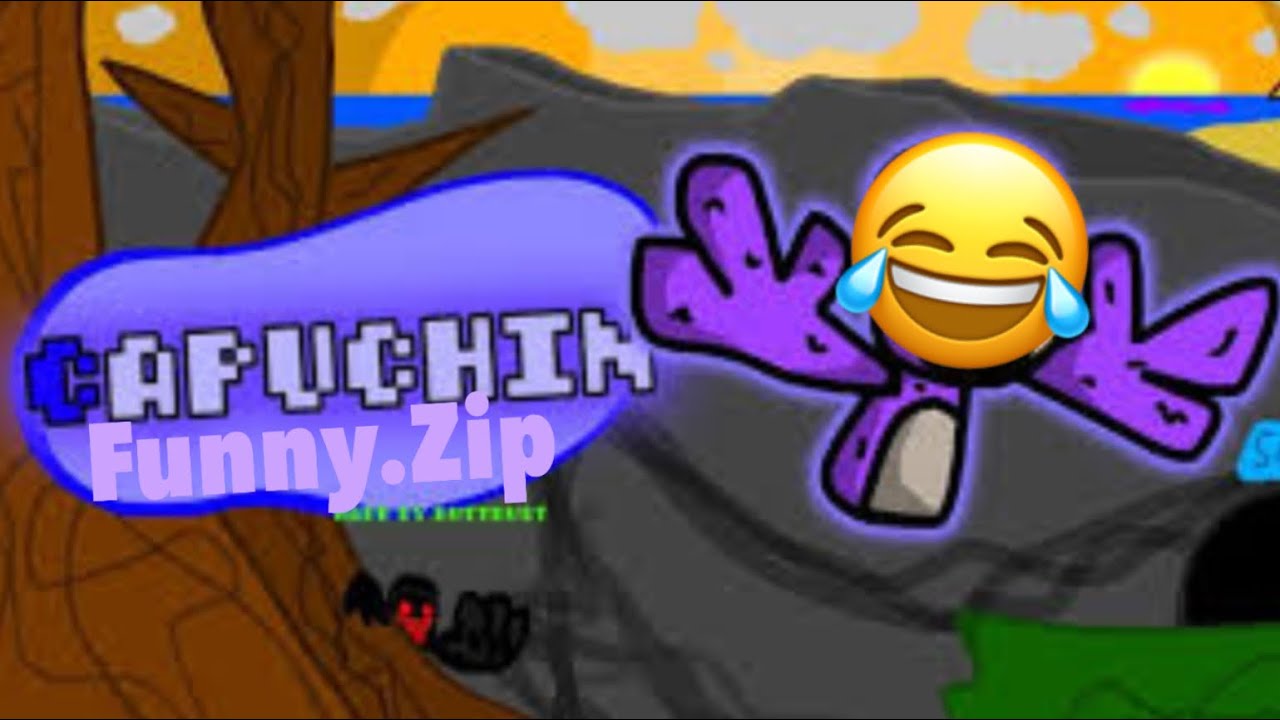Capuchin Funny’s.ZIP (Capuchin VR) - YouTube