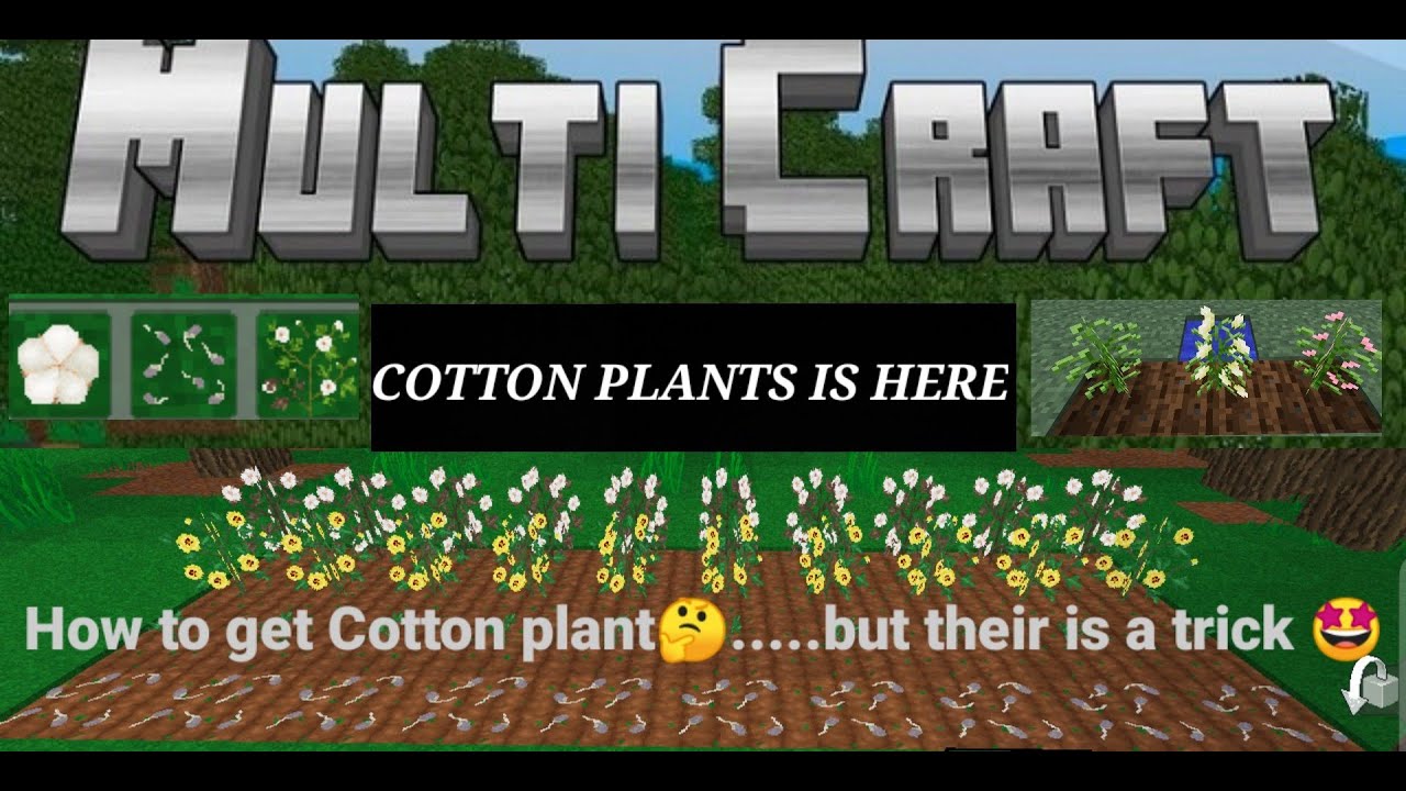 Multicraft - How to get cotton plants in Multicraft ...🤔???........A ...