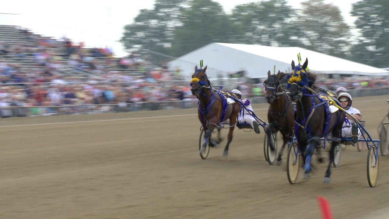 Eye on Harness Racing 2013 # 16- 09-19-2013 -Little Brown Jug - YouTube