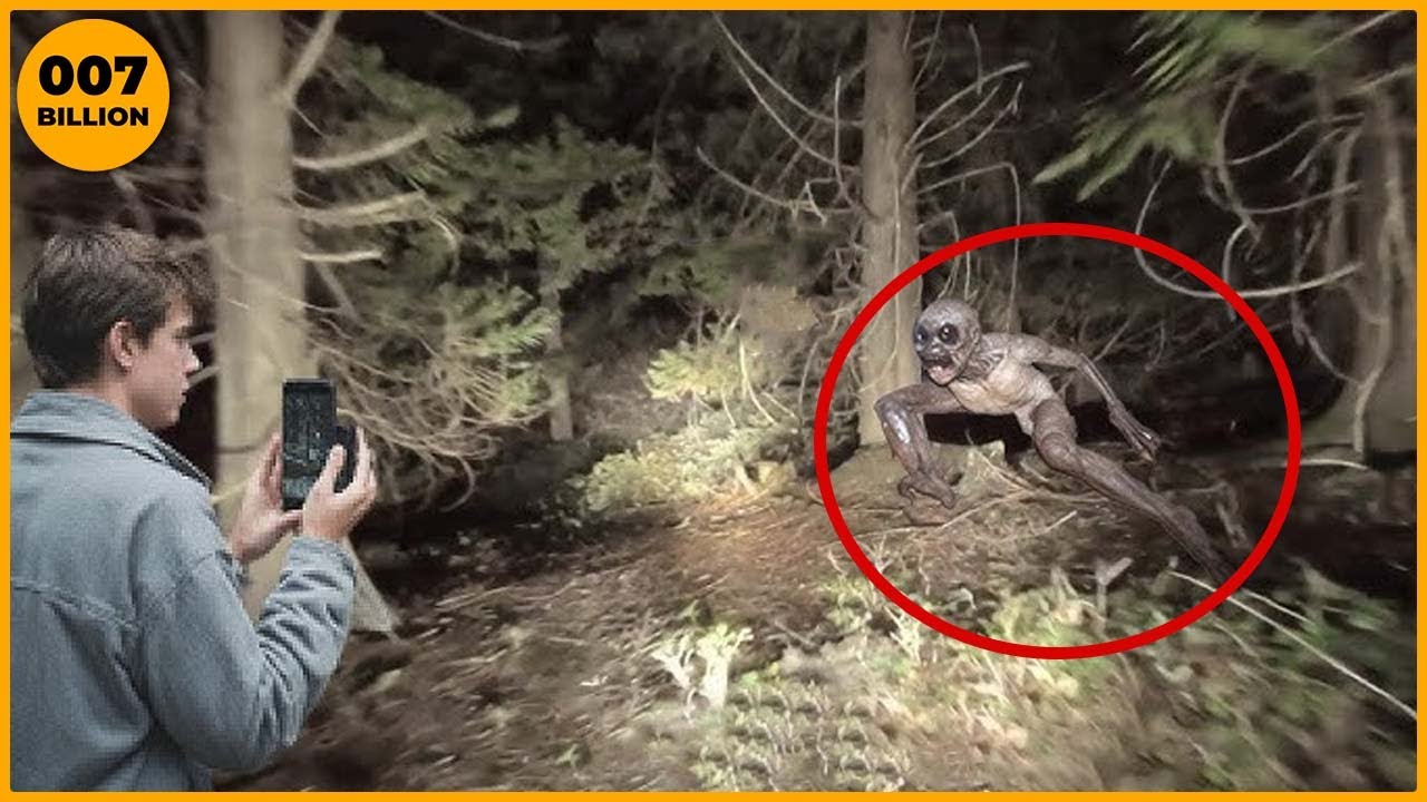 Meet the Expert Who's Spent Years Studying Human Like Creatures - YouTube