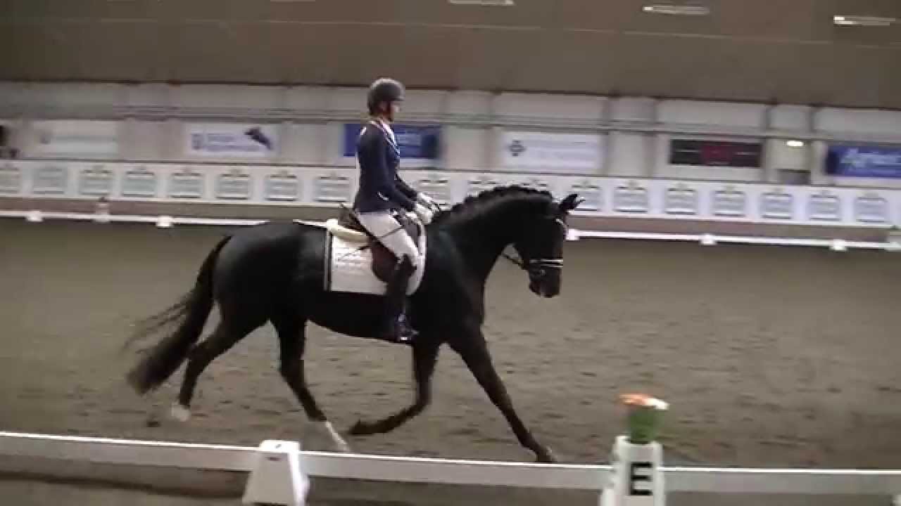 Elenore Simberg and 2M2 Feine Dame - Breeders 2015 - YouTube