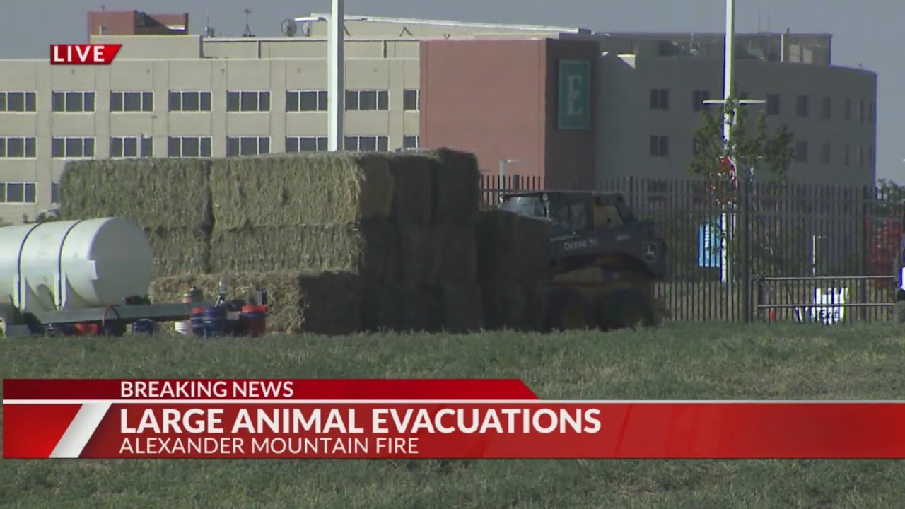 Resources for those evacuating fire with large animals - YouTube