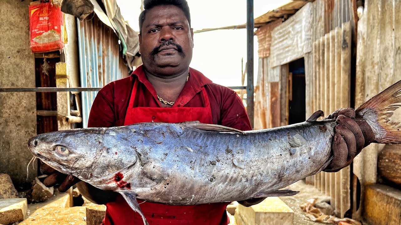 KASIMEDU 🔥 SPEED SELVAM | VERY RARE KELUTHI FISH CUTTING VIDEO | 4K ...