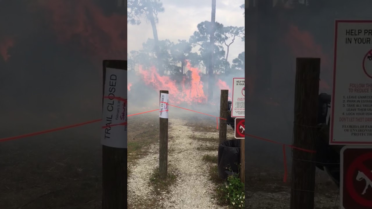 Controlled Burn-3 - YouTube