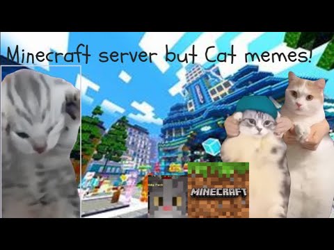 Minecraft Cubecraft but cat memes - YouTube
