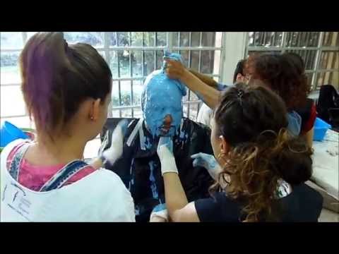 Lifecast
