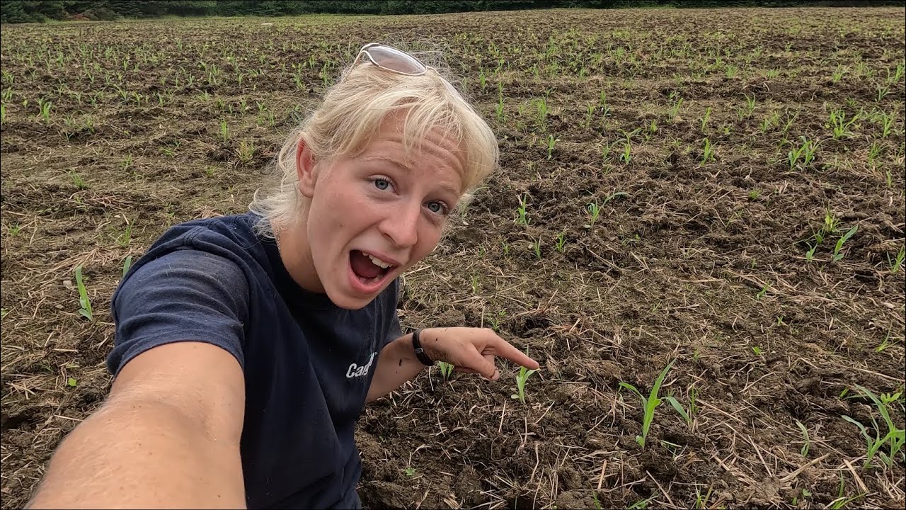Corn update!! A “relaxing” day on the farm…🌽🚜 - YouTube