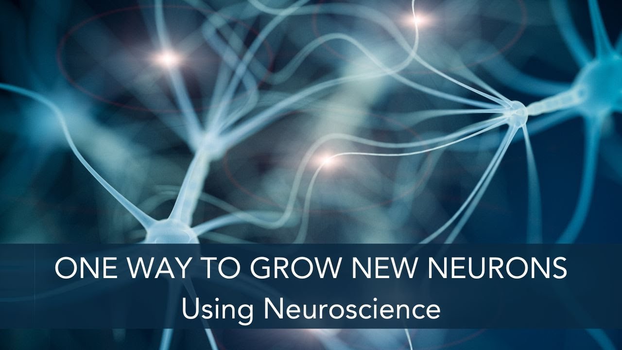 One Way to Grow New Neurons - YouTube
