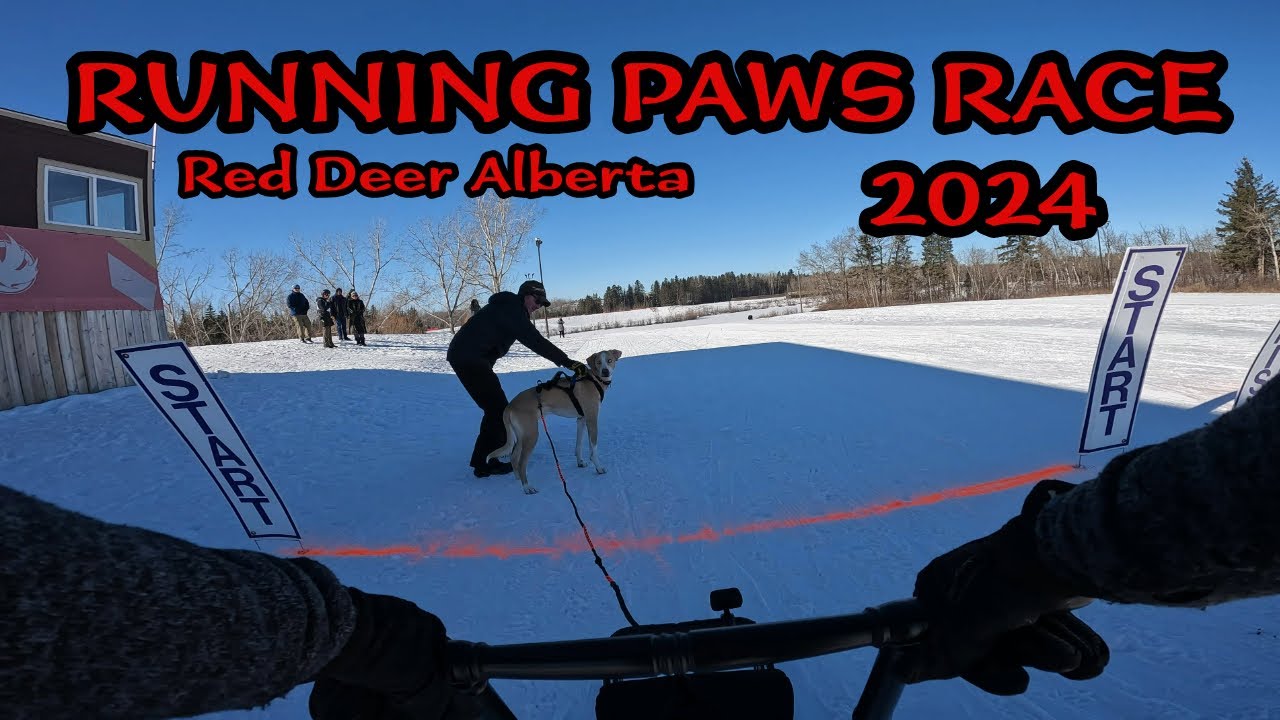 Running Paws Race 2024 - YouTube