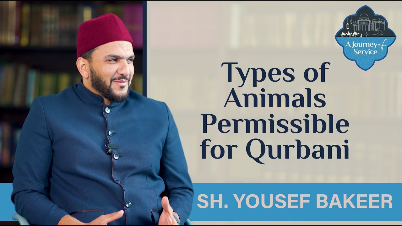 Types of Animals Permissible for Qurbani | Helping Hand USA 2025 - YouTube