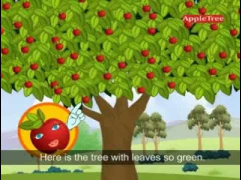 Apple Tree song - YouTube