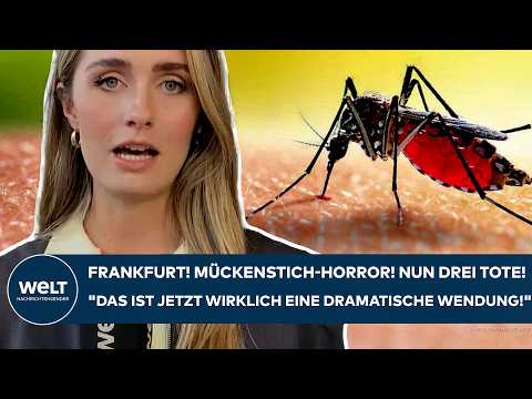 FRANKFURT: Mückenstich-Horror! Jetzt drei Tote! \