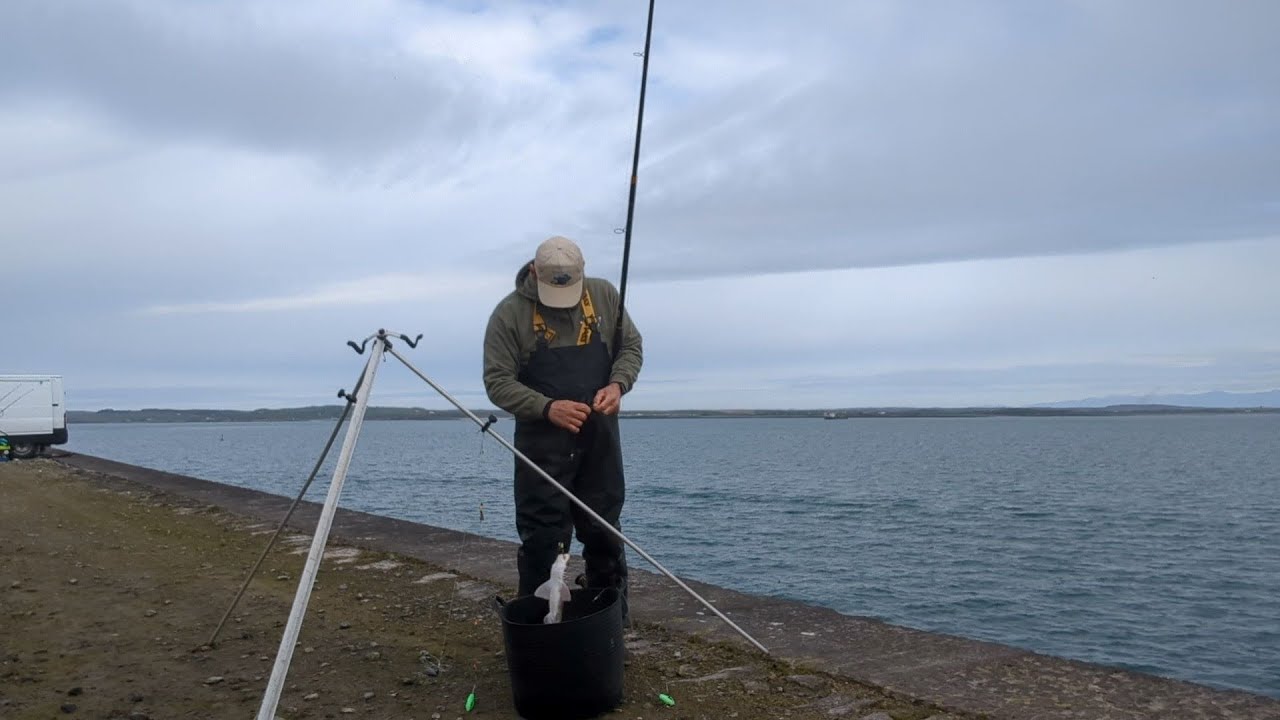 Match day Holyhead Breakwater - Spider crab catch and cook - Fishing ...