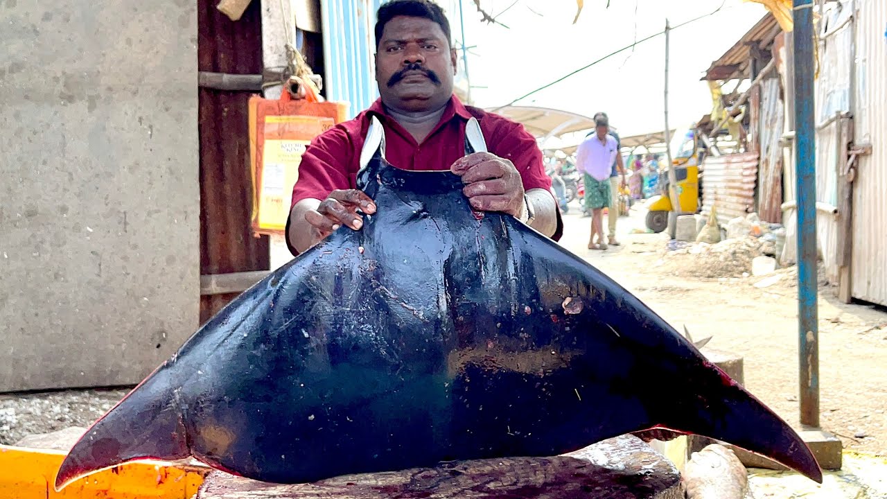 MANTARAY FISH CUTTING | FISH CUTTING SKILLS | FISH CUTTING VIDEOS | # ...