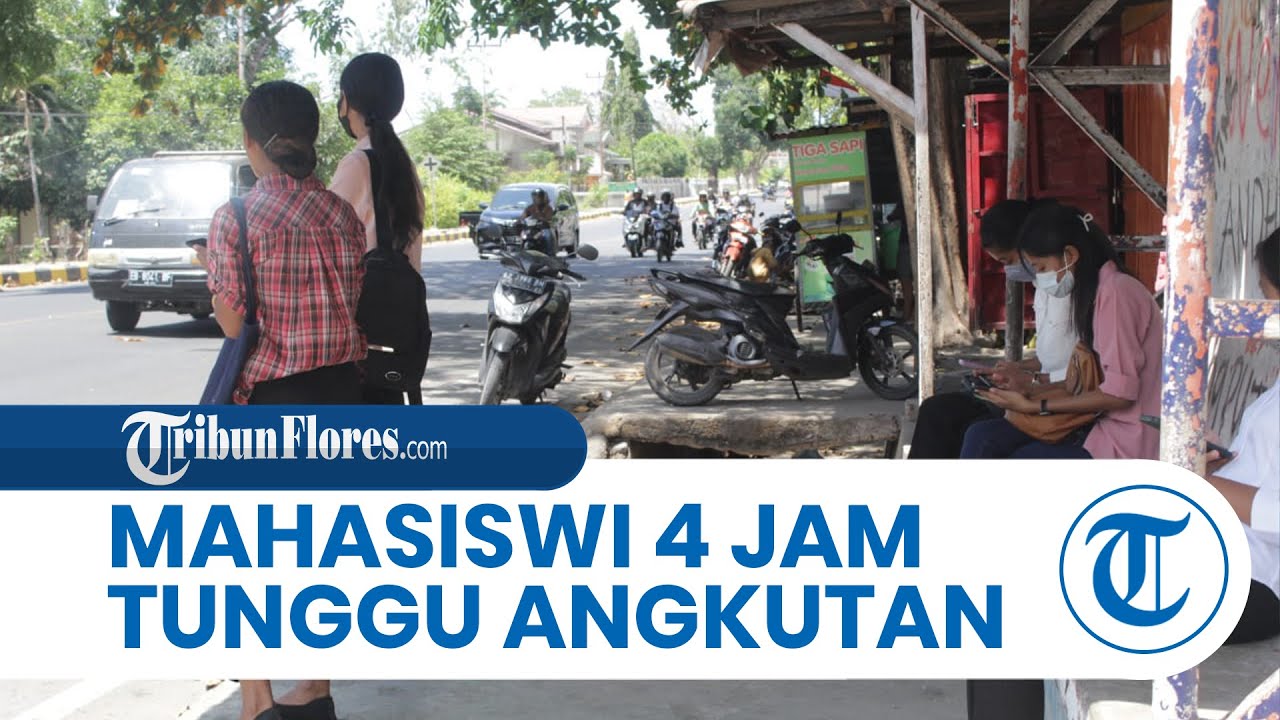 Empat Jam Mahasiswa Unipa Tunggu Angkutan Kota di Maumere,Ternyata ...