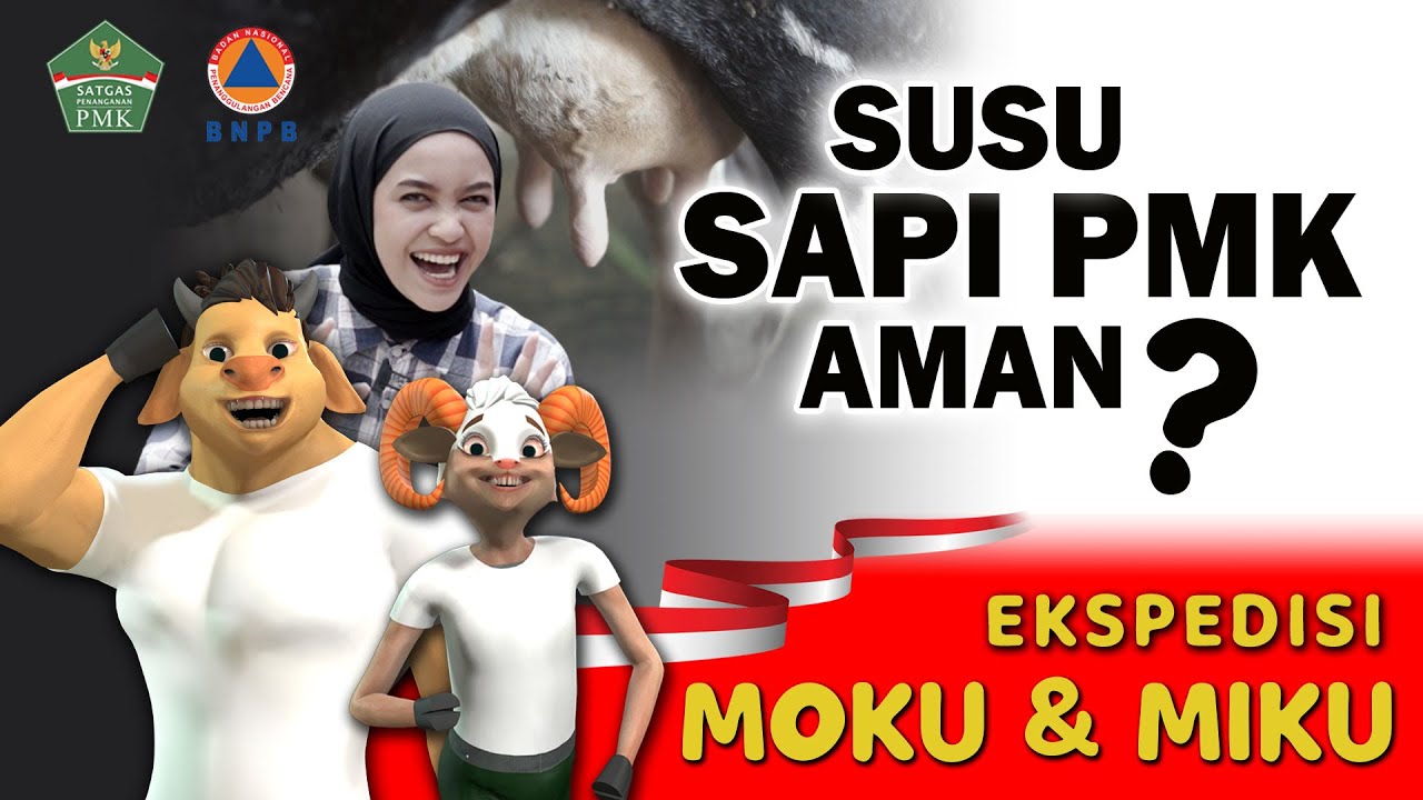 SUSU SAPI PMK, AMAN? - YouTube