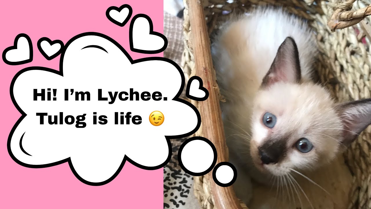 Tulog is life/Sleeping positions - YouTube