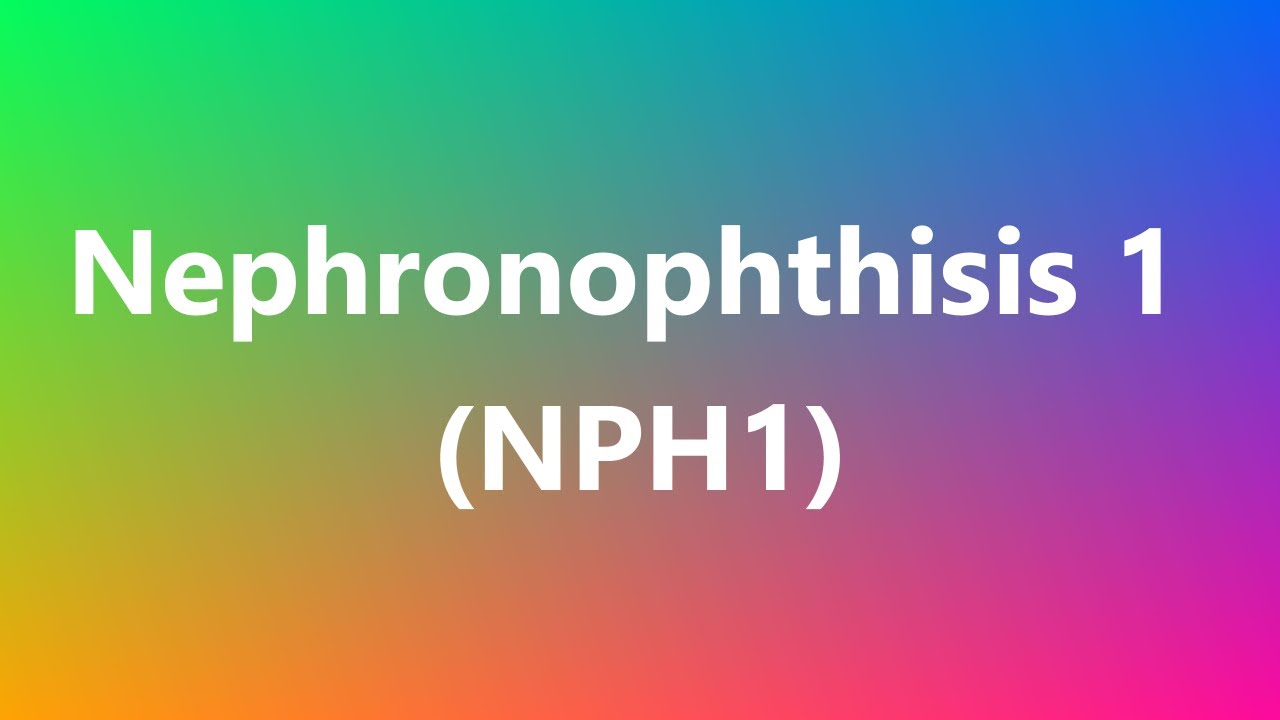 Nephronophthisis 1 (NPH1) - Medical Definition and Pronunciation - YouTube