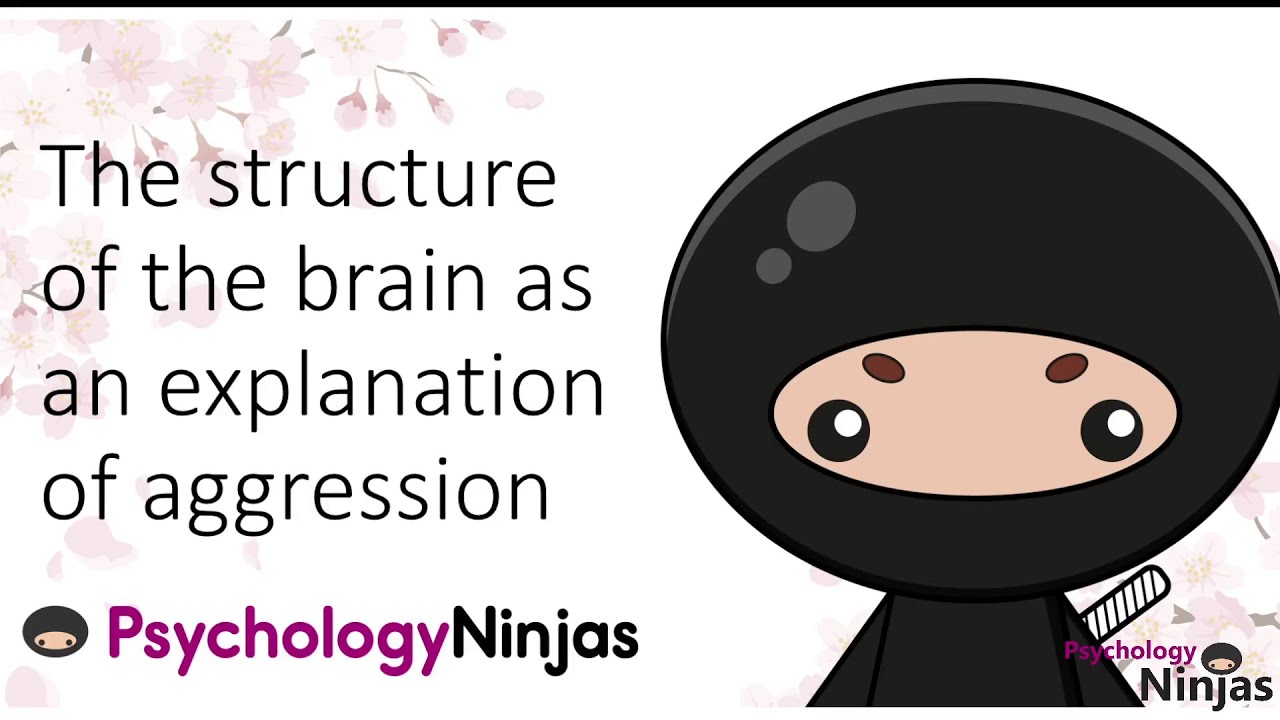 Brain structure and aggression - YouTube