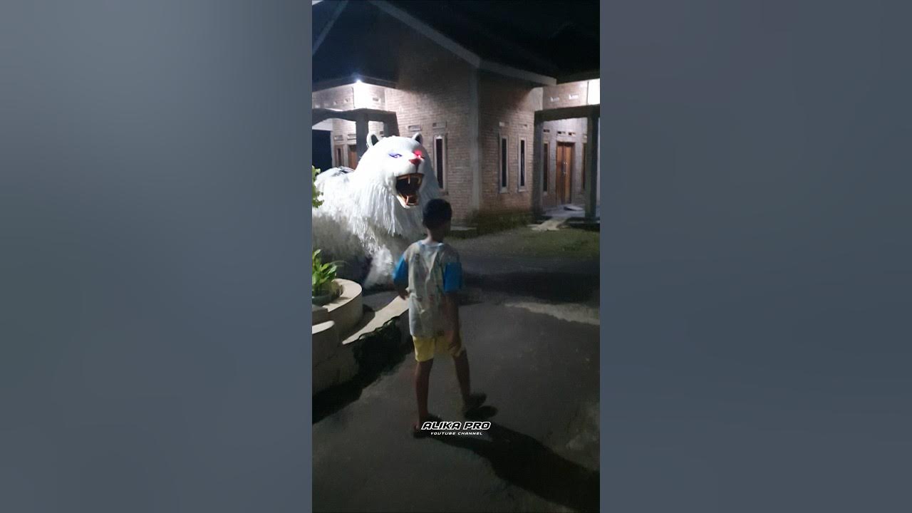 bocil ff dimakan can macanan - YouTube