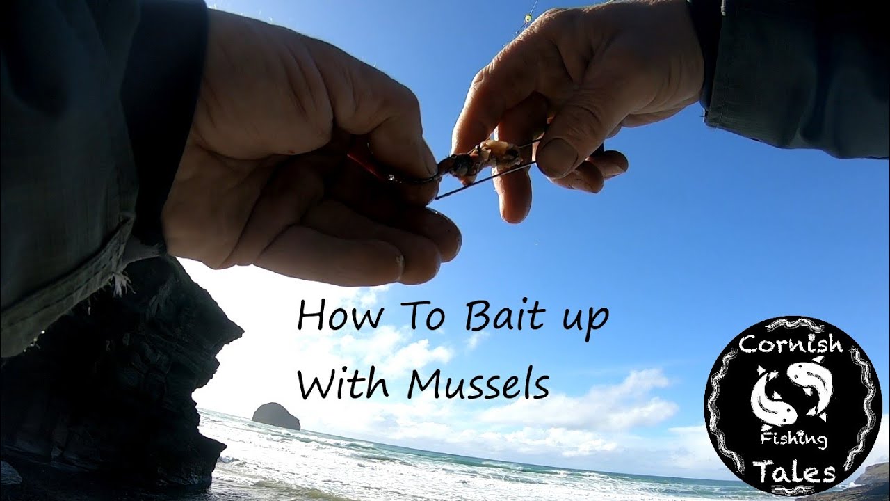 How To Use Mussels as Bait - YouTube